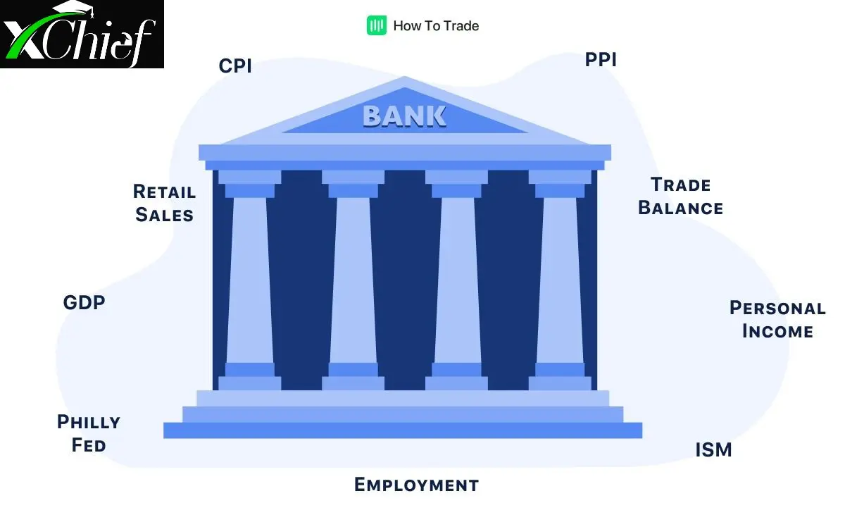 Fundamental Analysis Xchief Academy